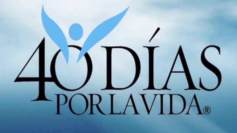 5 organizaciones Pro-Vida que debes seguir – Catoliscopio
