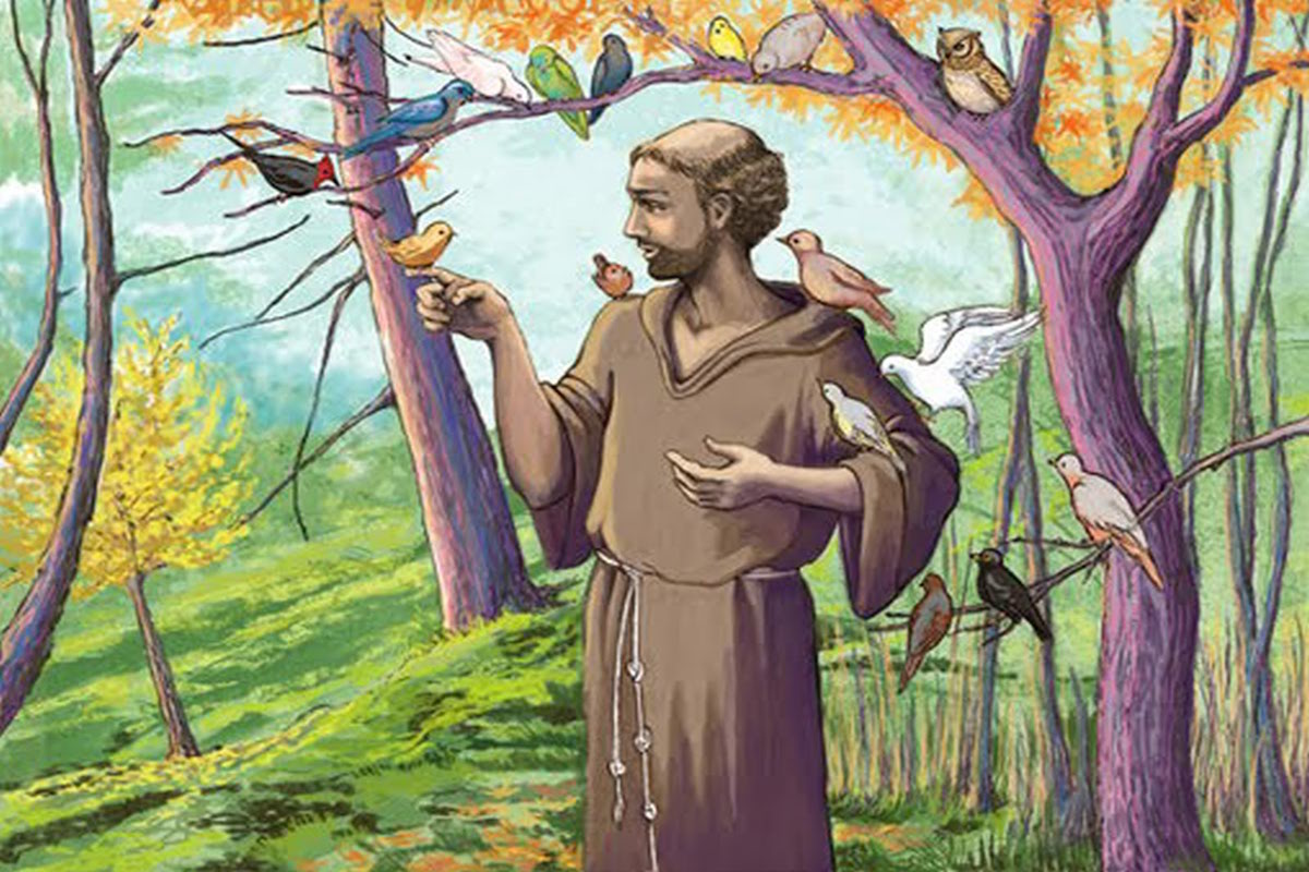 5 Razones por las que admiro a San Francisco de Asís – Catoliscopio